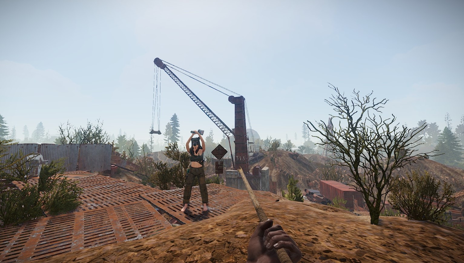 NZ Chill Rust Server